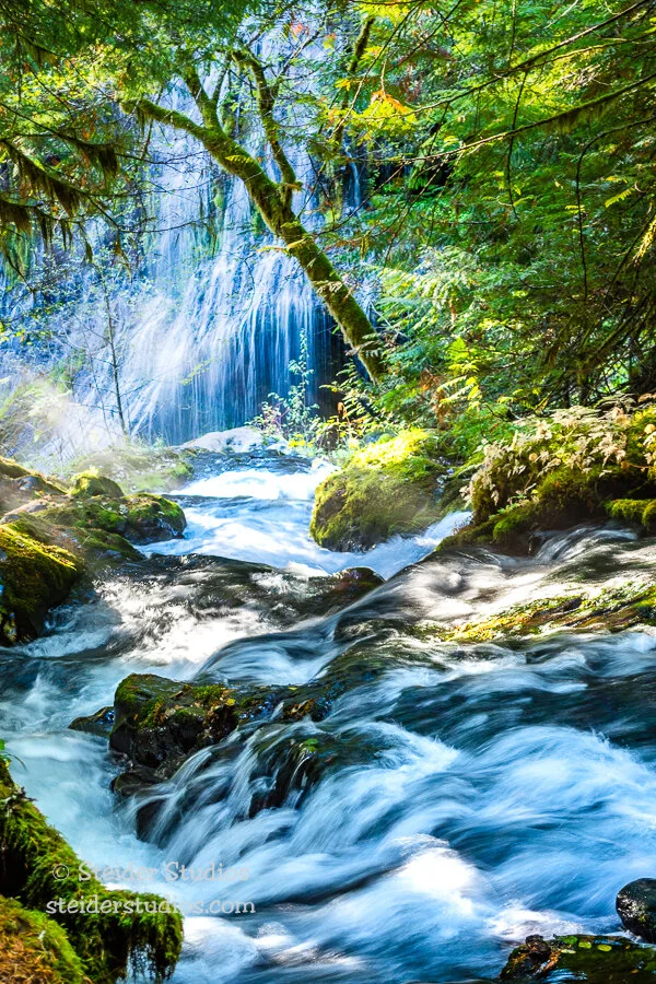 Waterfalls — Steider Studios