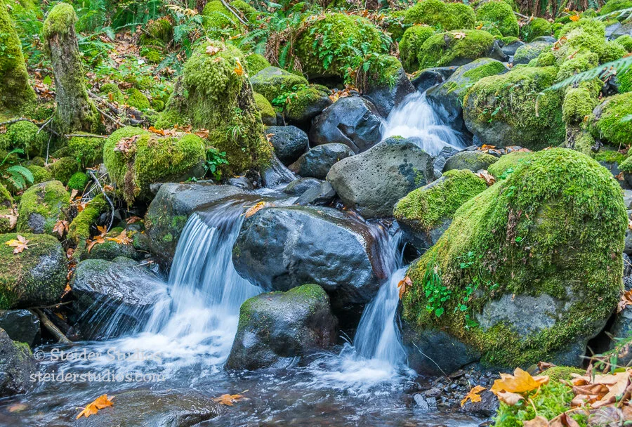 Waterfalls — Steider Studios