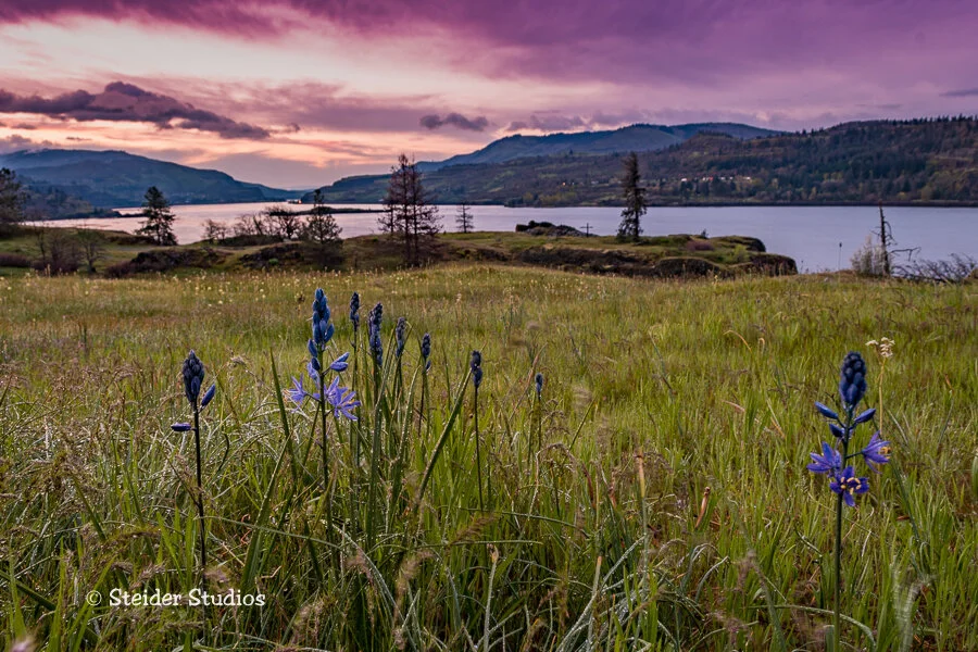 Sunrise — Steider Studios