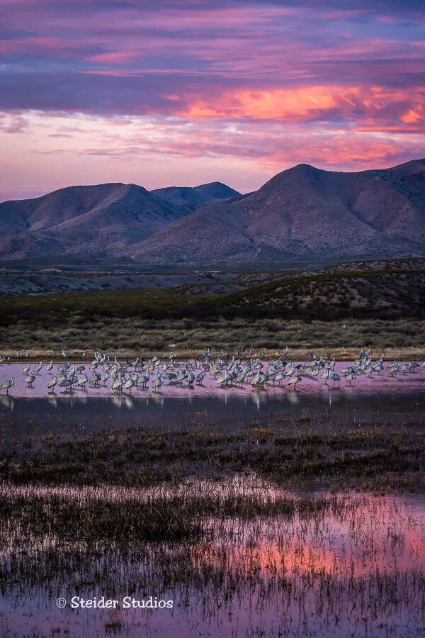 Sunrise — Steider Studios