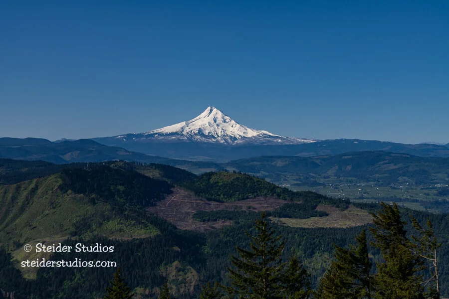 Mt. Hood — Steider Studios