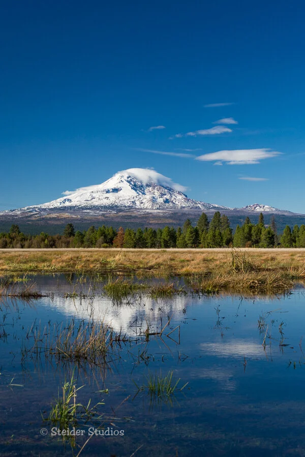 Mt Adams — Steider Studios