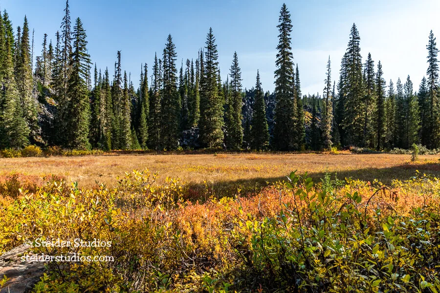 Other — Steider Studios