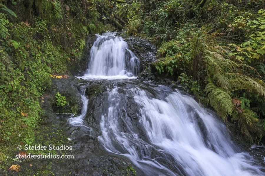 Top of Shepperd's Dell Falls — Steider Studios