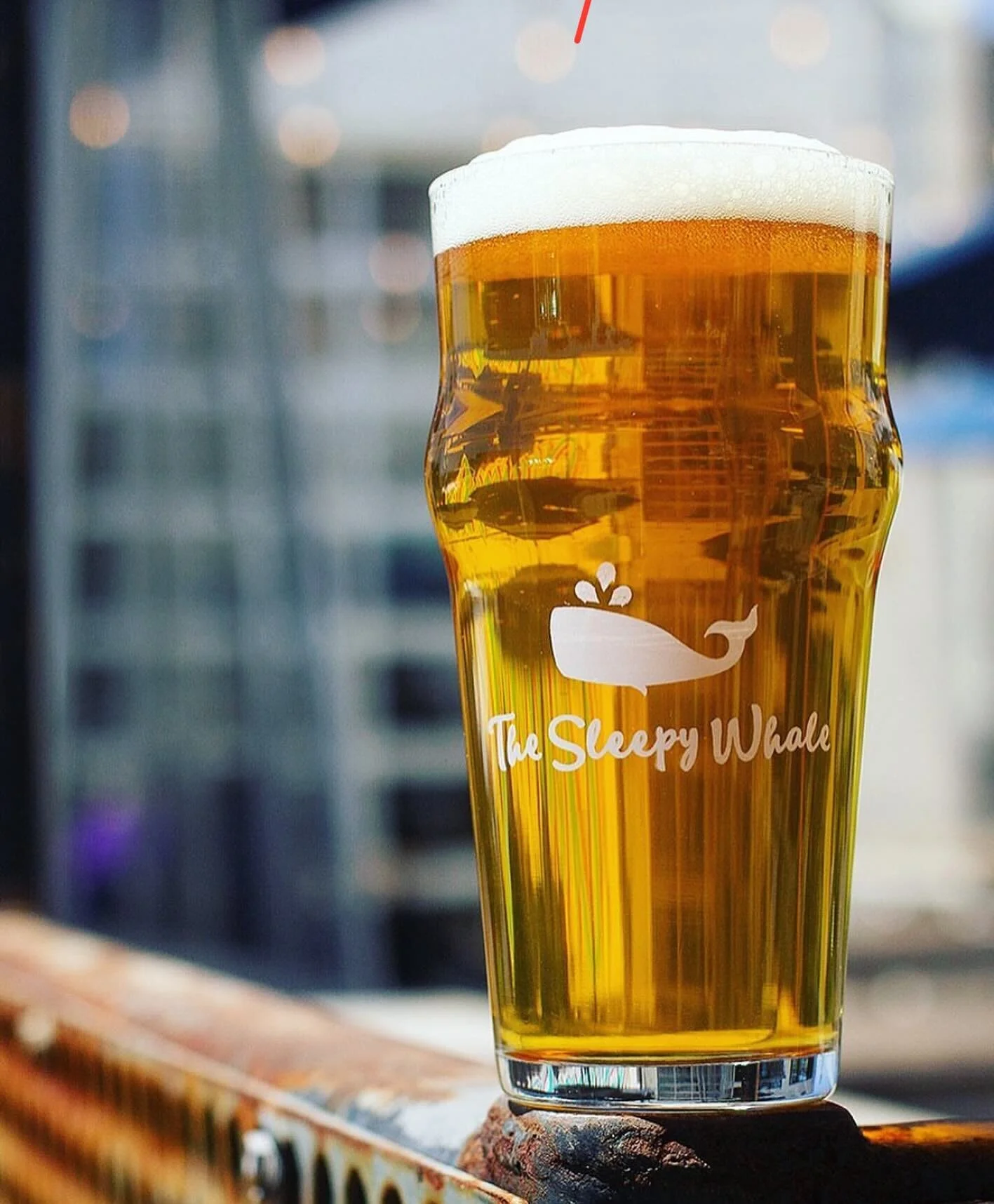 The Sleepy Whale | Beer Bar + Bottle Shop