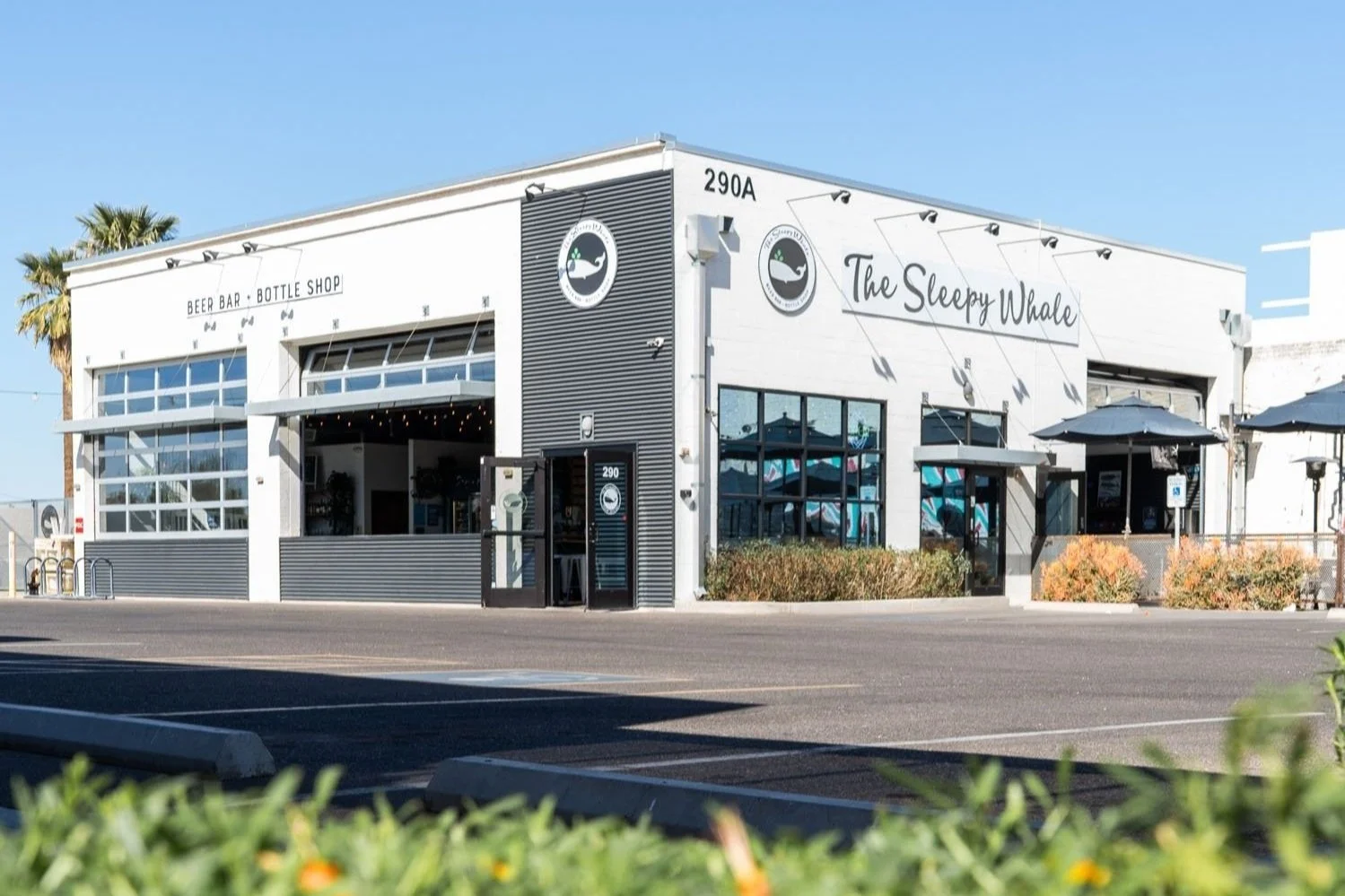 The Sleepy Whale | Beer Bar + Bottle Shop