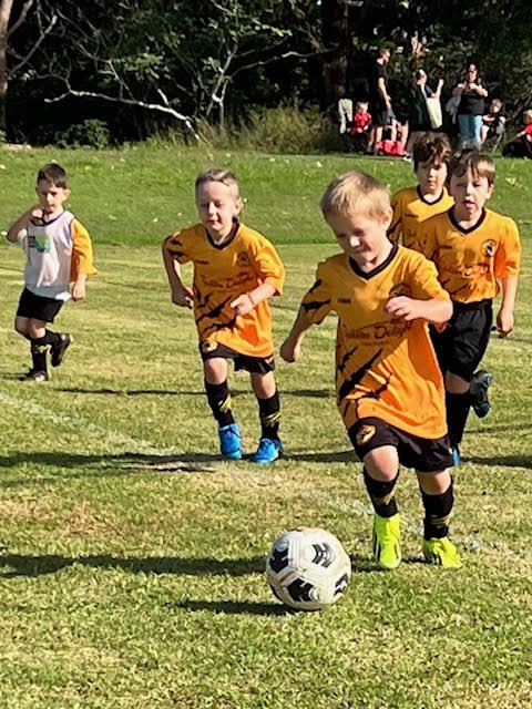 2024 Photo Gallery | TFFC