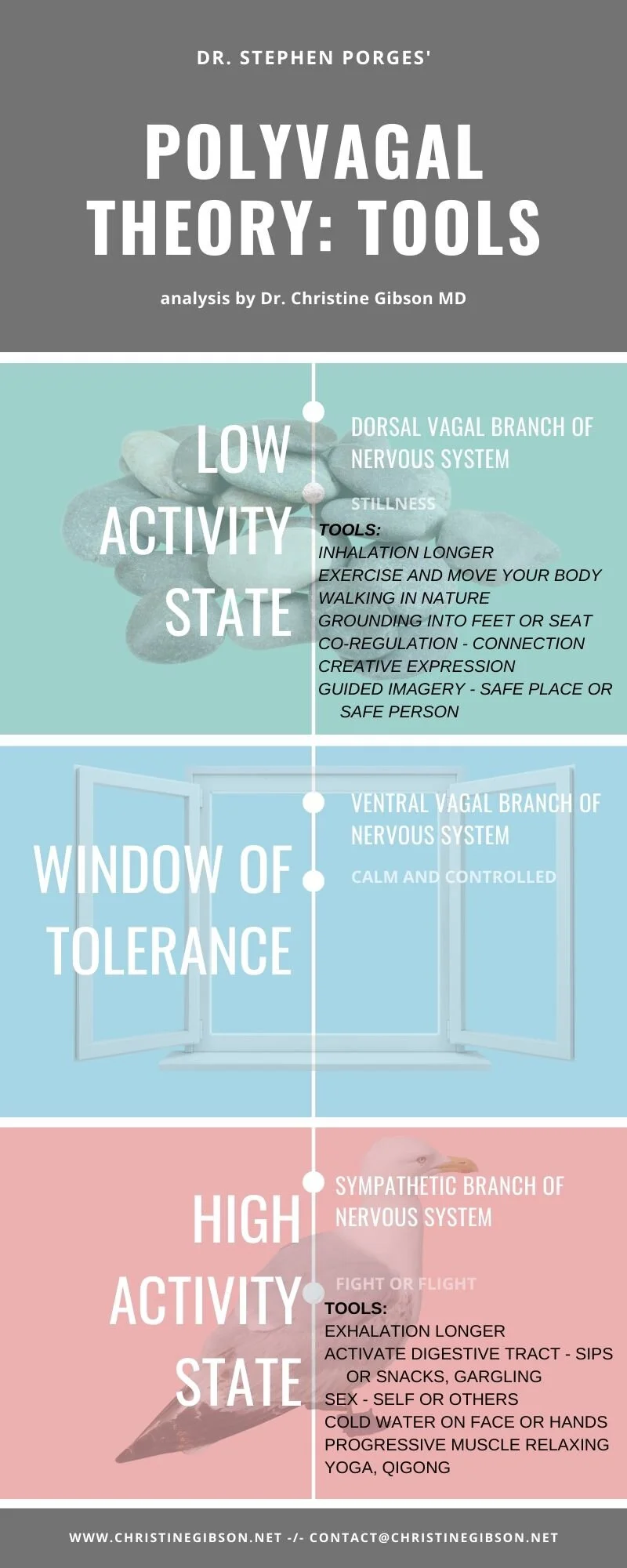 Your body doing what it is designed to do: a human trauma response ...