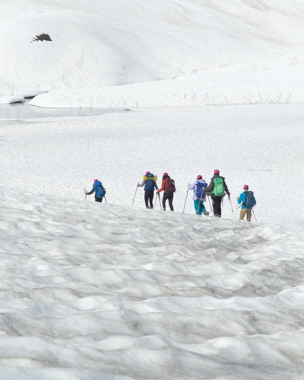 Living Snow Project — Claire Giordano