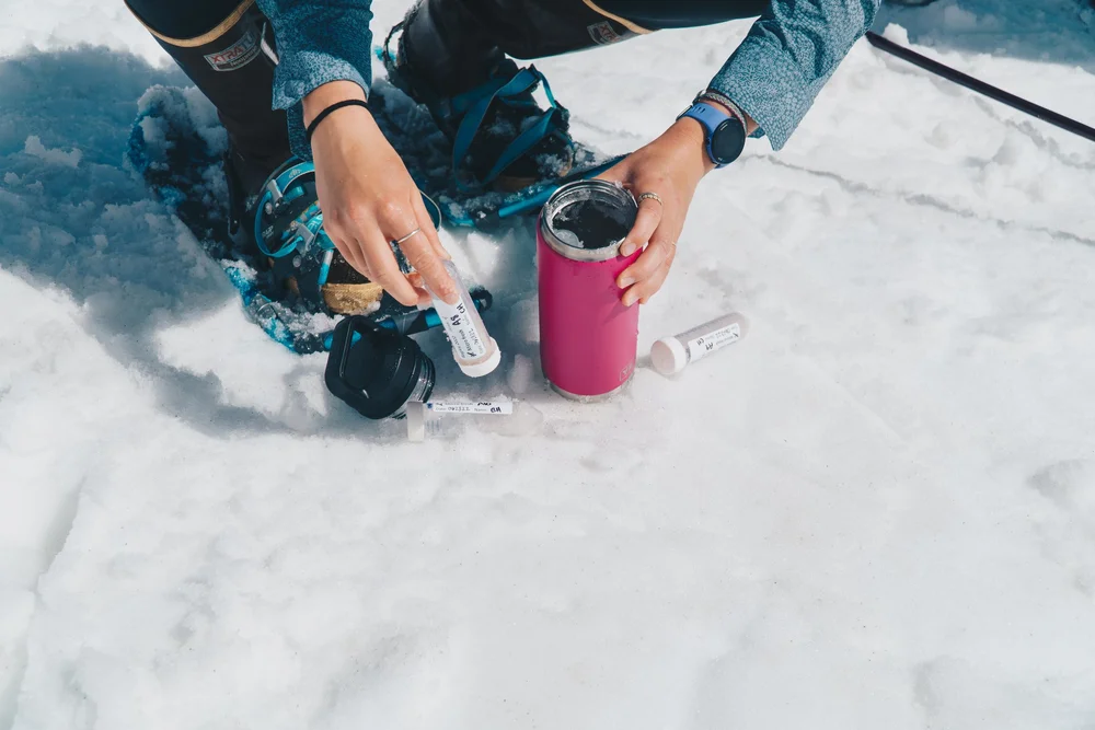Living Snow Project — Claire Giordano