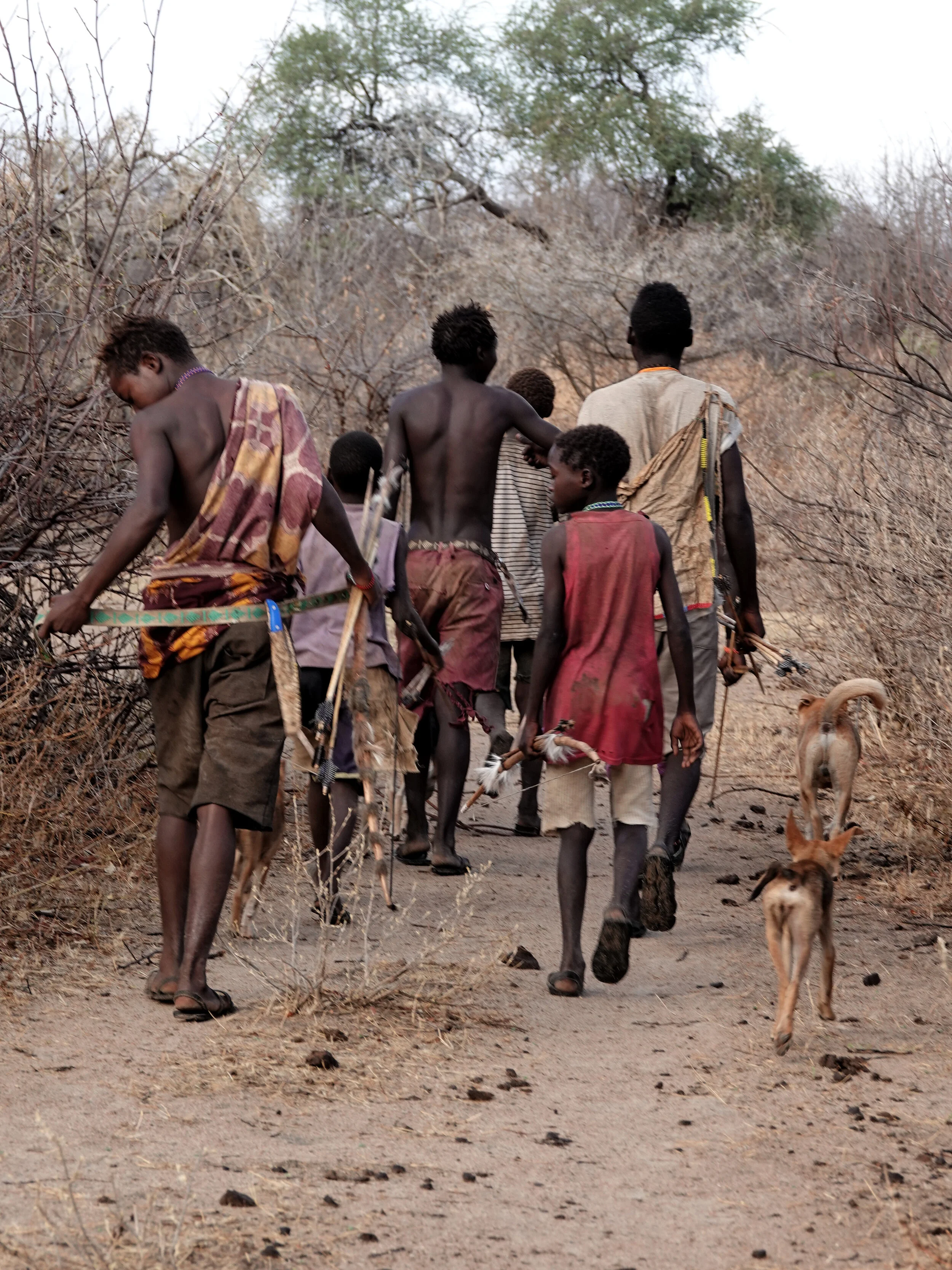 People of Tanzania – The Hadza — Great Expeditions