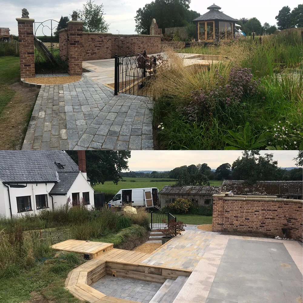 News — WildMurals - Award Winning UK, Stroud based mural artist and ...