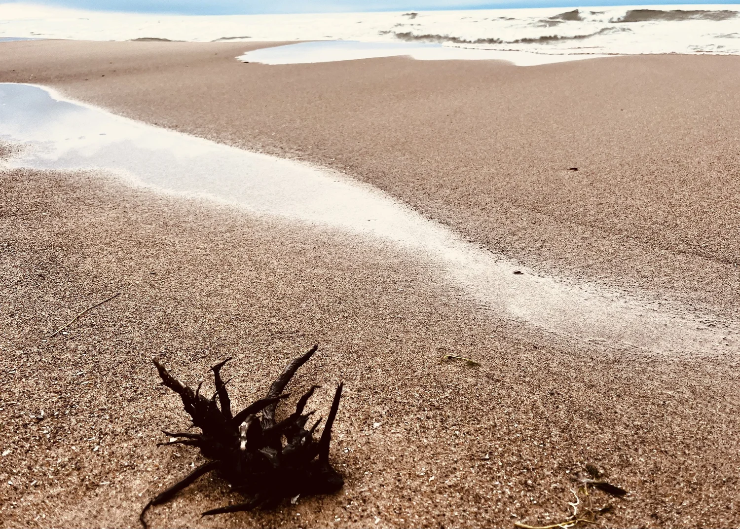 Meeting Notes 1-2-24 — Commissioner Zylstra