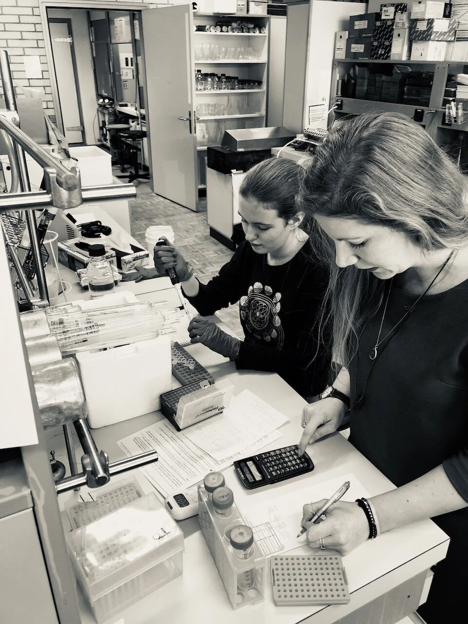 What can students do in the ochsenreiter lab — Ochsenreiter lab