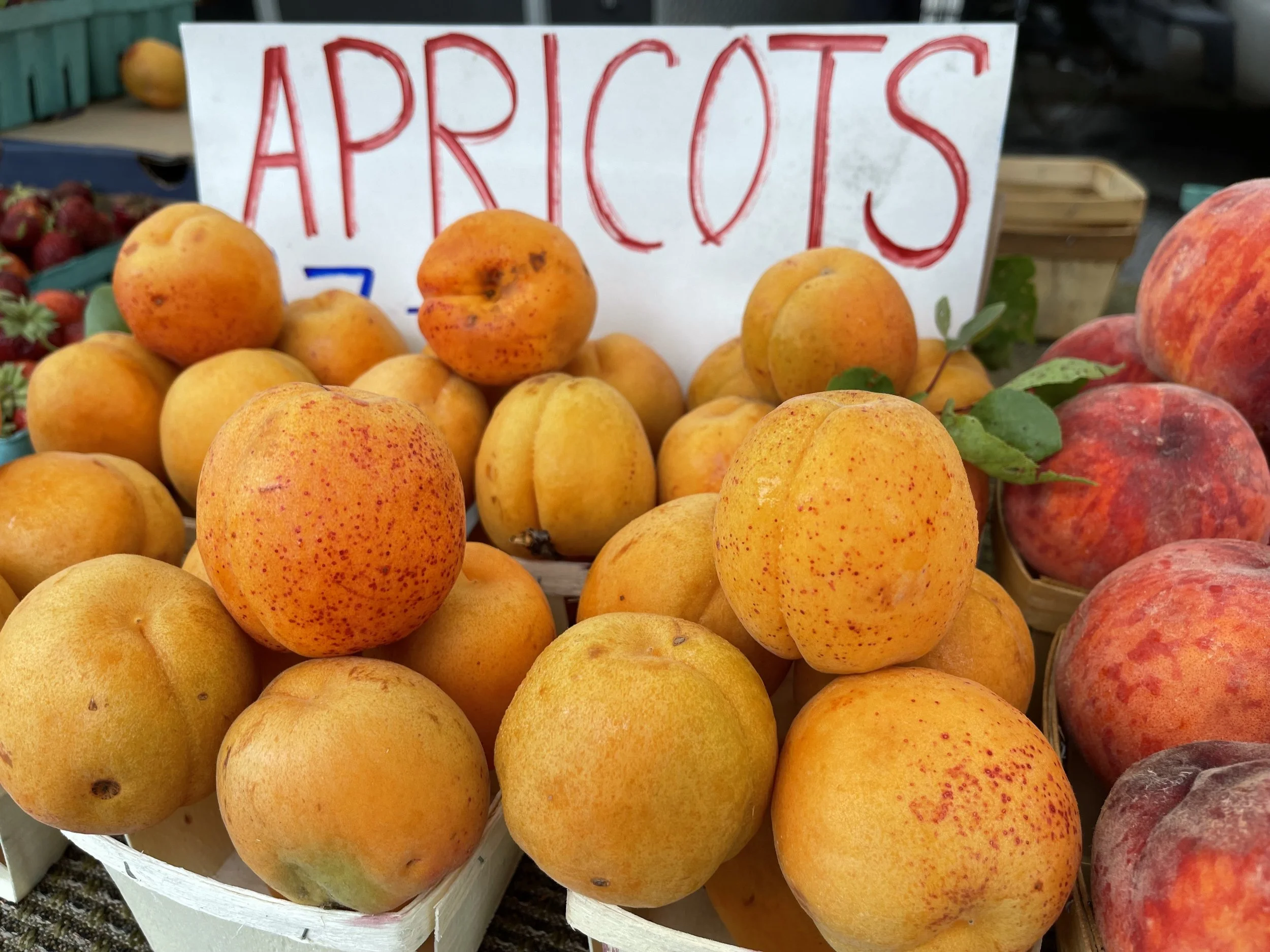 Latest News — Ravinia Farmers Market