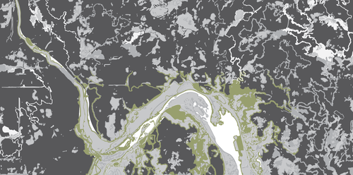 Swanson Haskamp Consulting, LLC