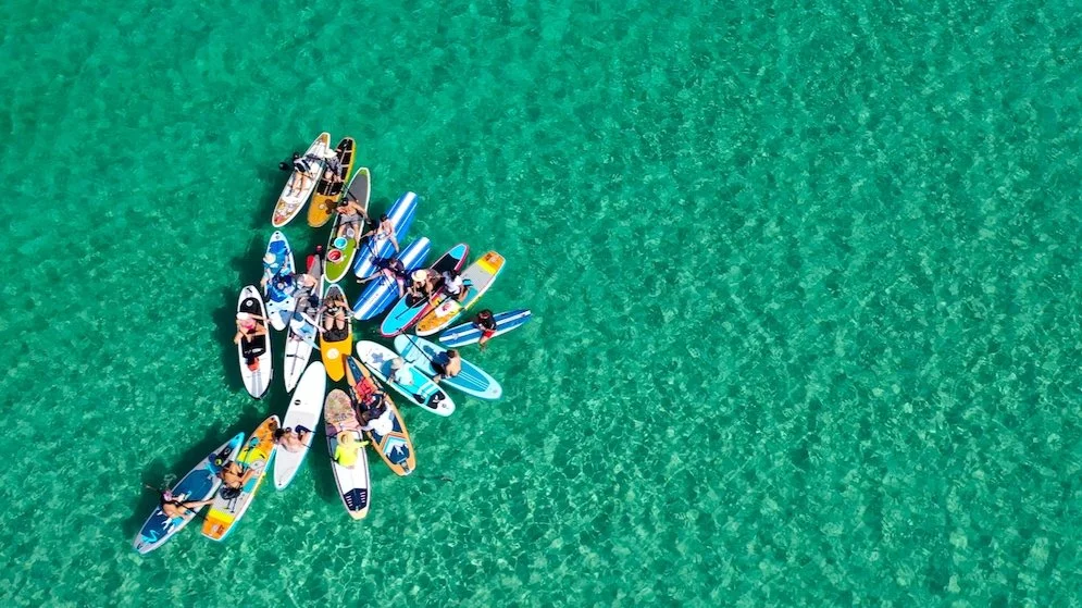 3rd Annual World Ocean Celebration — Blue Scholars Initiative