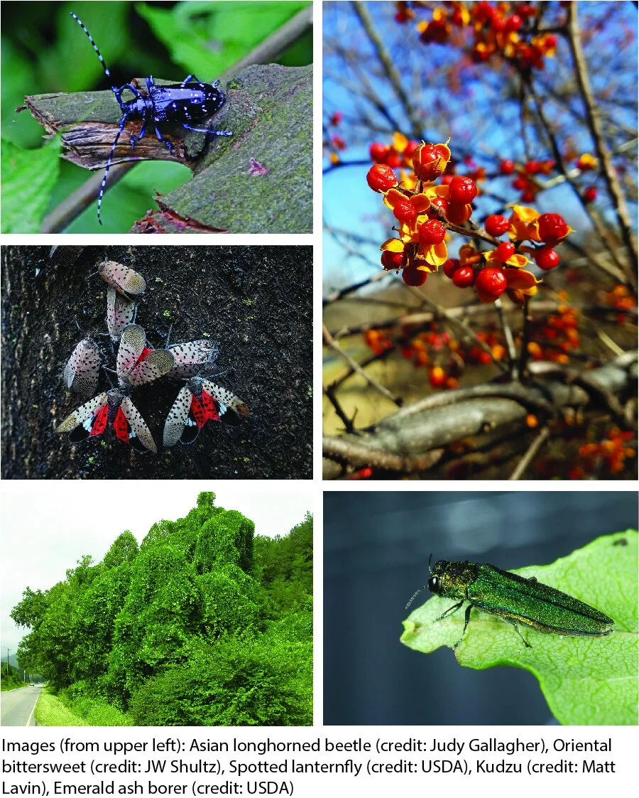 Home — Northeast RISCC Management