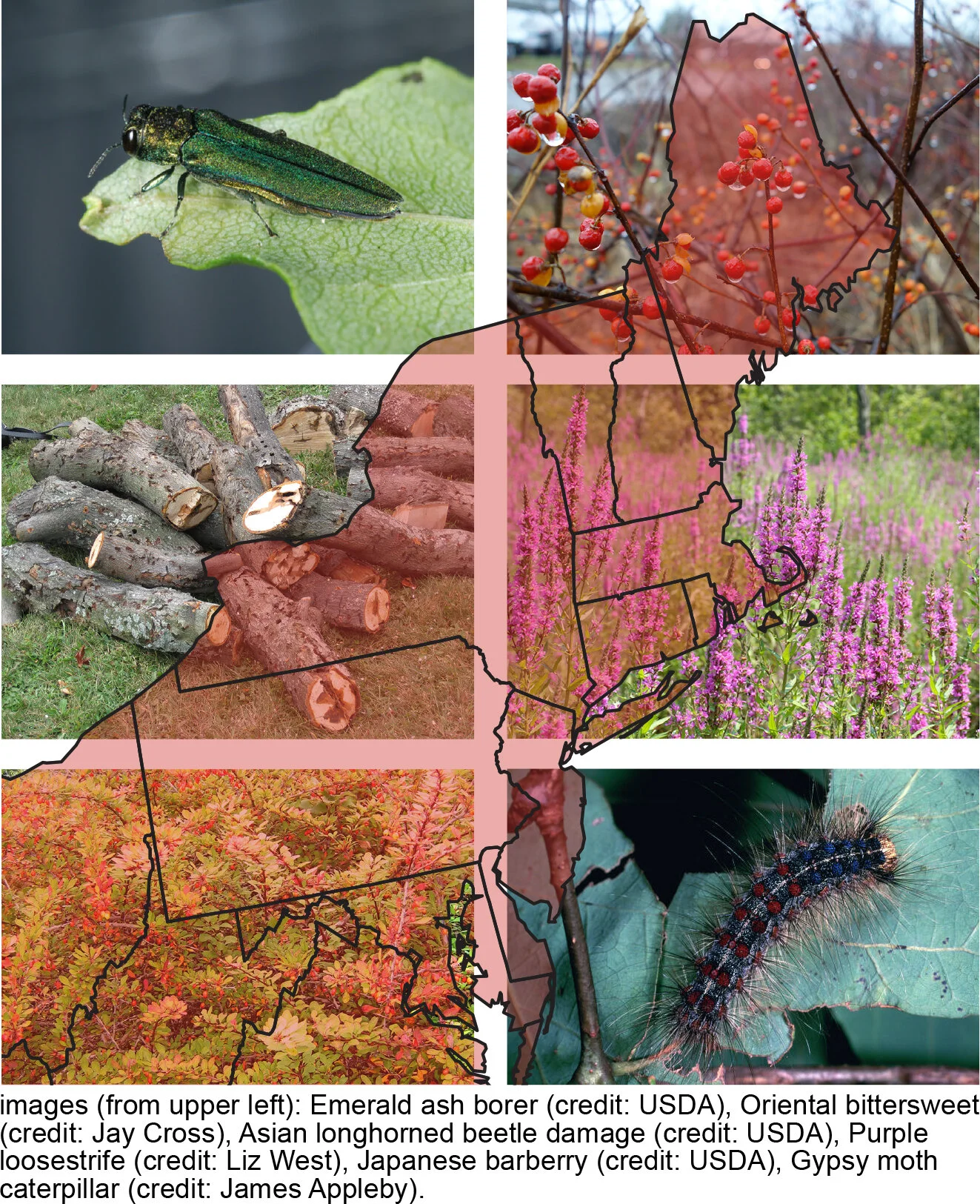 Our Mission — Northeast RISCC Management