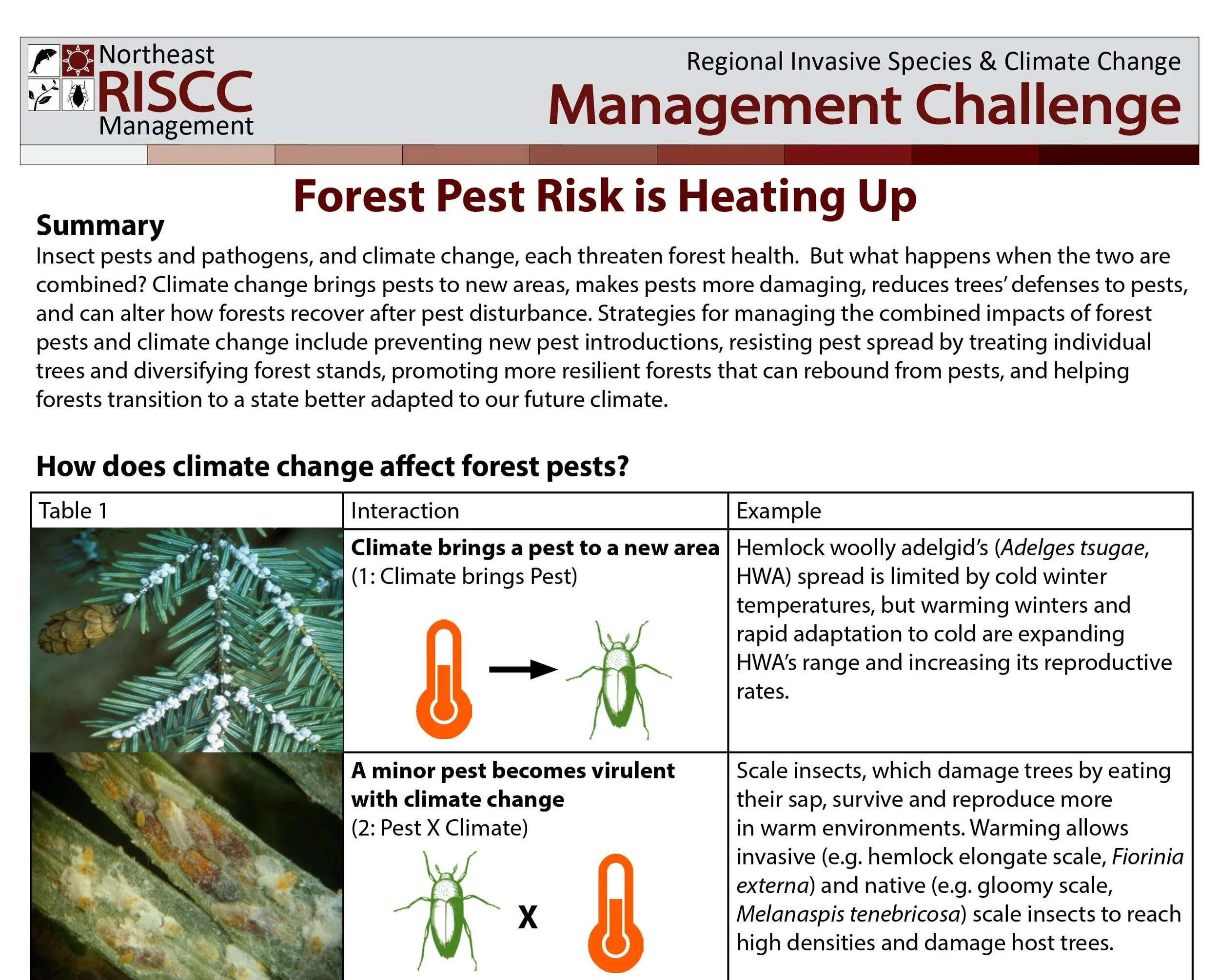 Research to Practice — RISCC Management