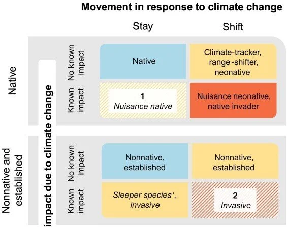 Original Research — RISCC Management