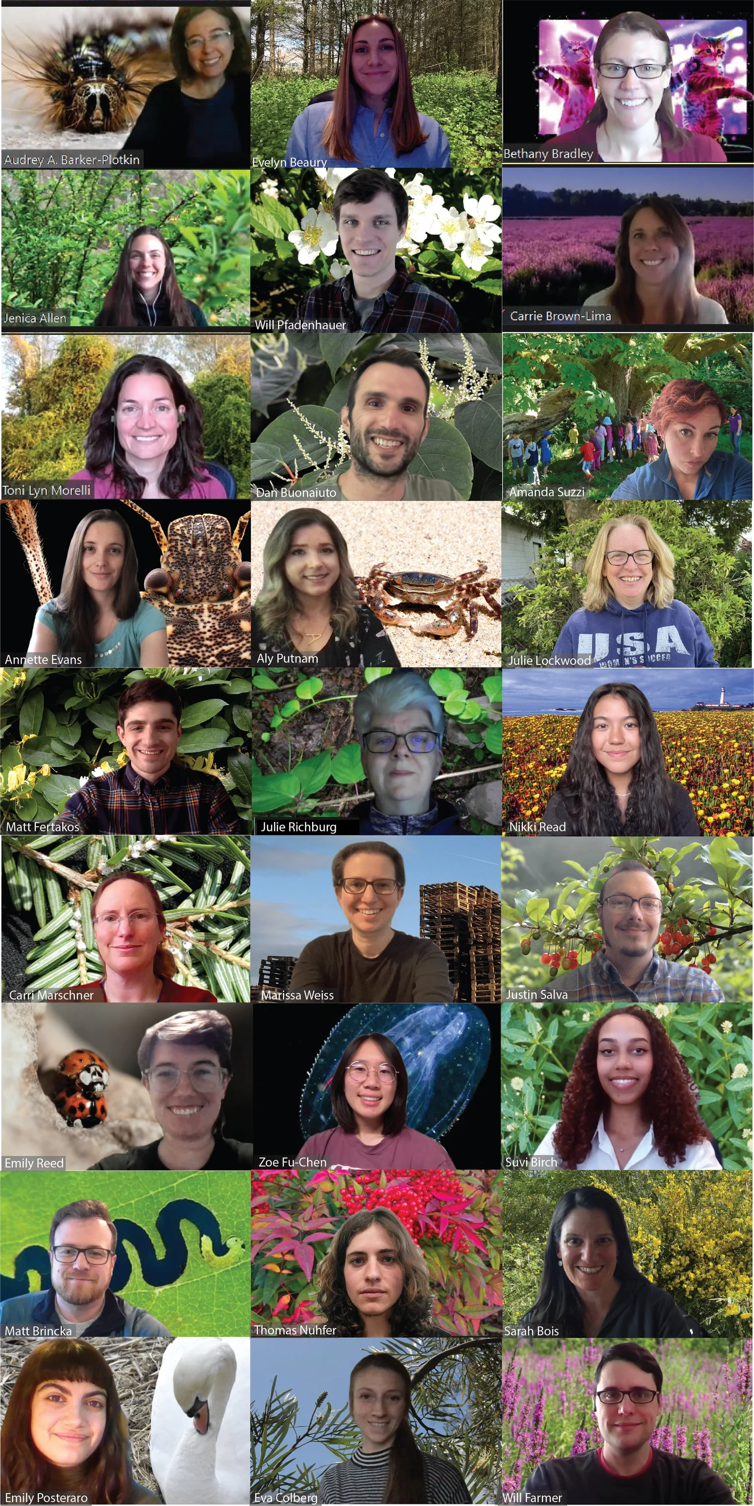 RISCC Team — Northeast RISCC Management