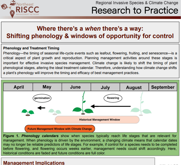Research to Practice — RISCC Management