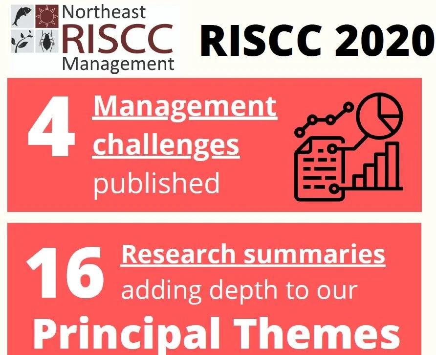 Year In Review — Northeast RISCC Management