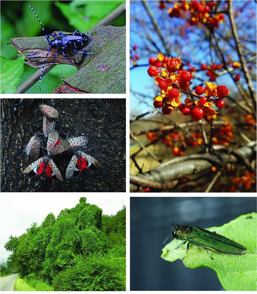 Home — Northeast RISCC Management