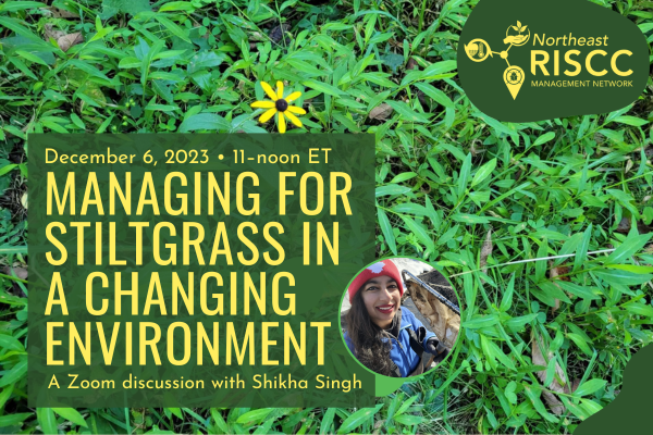 Webinars — RISCC Management