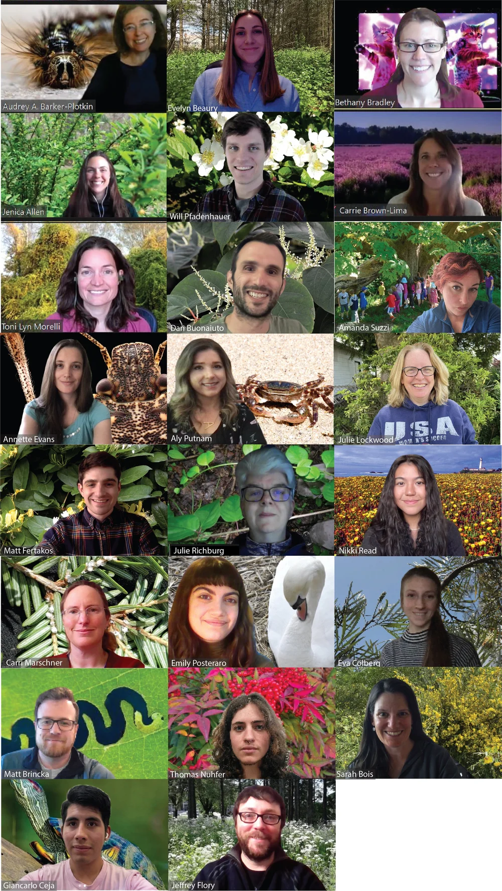 RISCC Team — Northeast RISCC Management