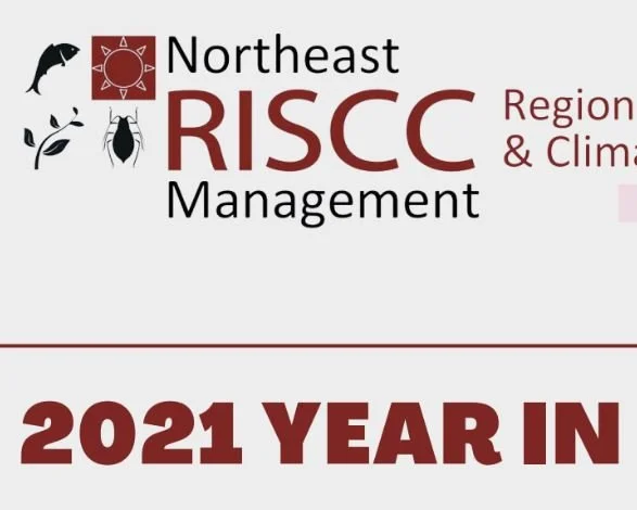 Year In Review — Northeast RISCC Management