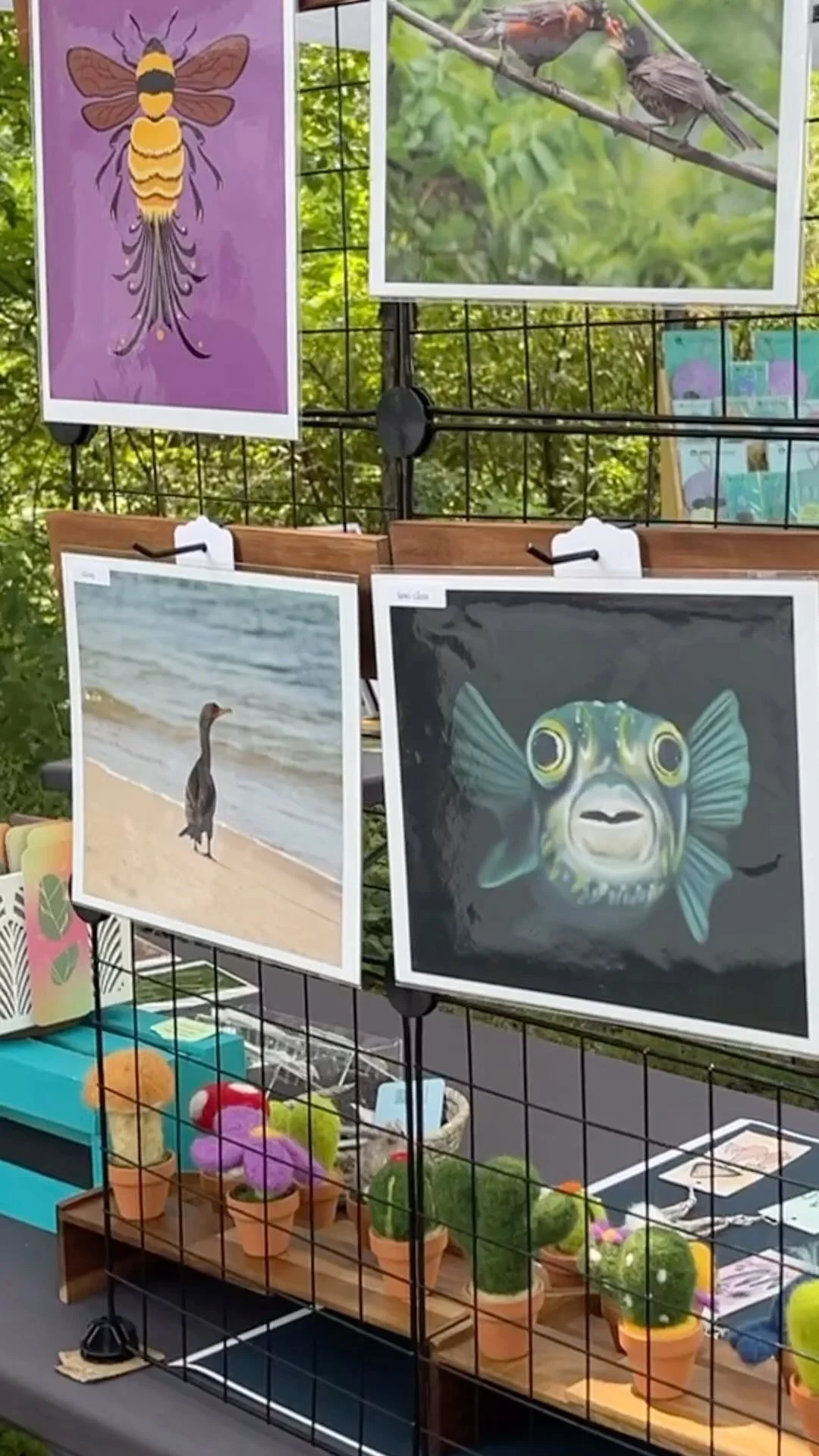 Teal Fish Studio | Buffalo Artists, Branding Specialists & Web Designers