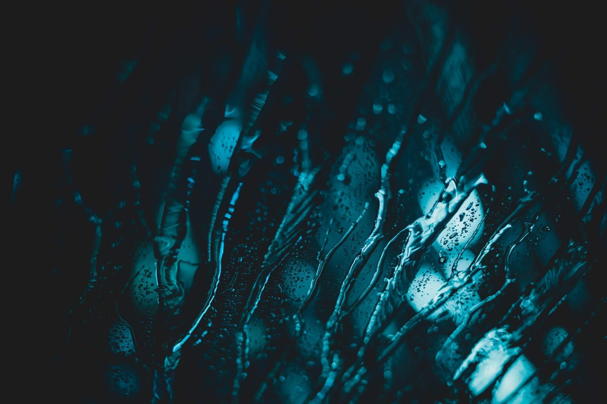 Teal Fish Studio | Nature-Inspired Art & Design Handcrafted in Buffalo, NY