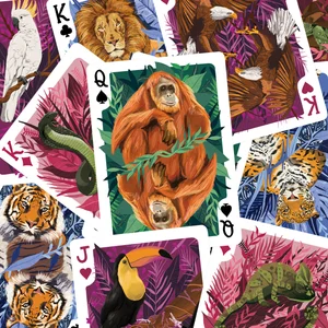Animal Kingdom illustrated playing cards pack — MARY FLORA HART