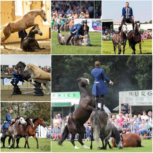 Atkinson Action Horses Shows and Performance Dates — Atkinson Action Horses