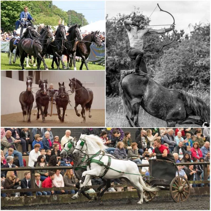 Atkinson Action Horses Shows and Performance Dates — Atkinson Action Horses