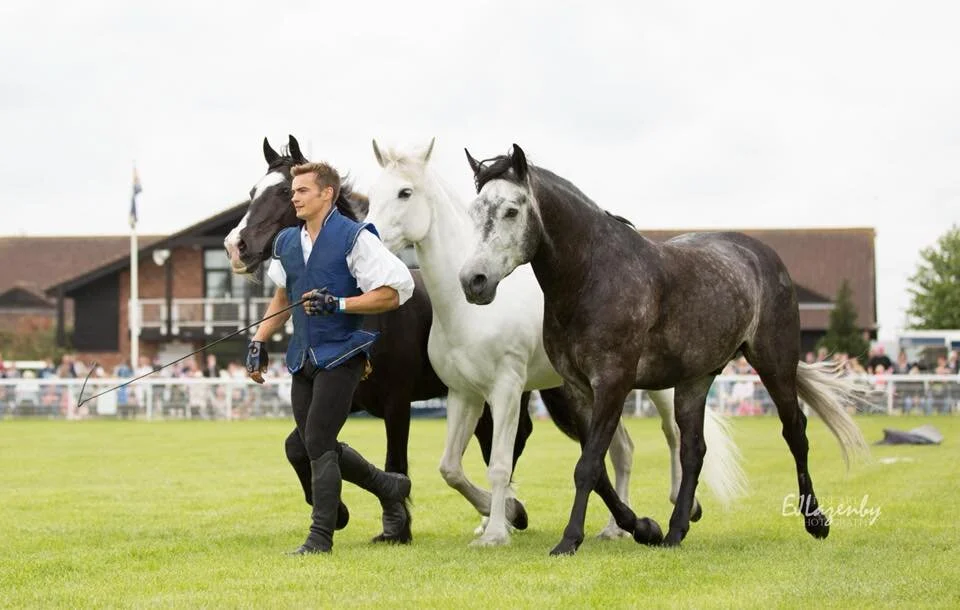 Contact 2 — Atkinson Action Horses