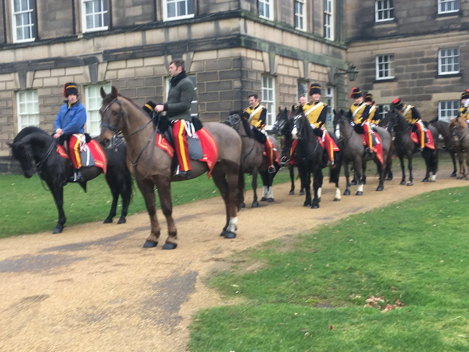 Film & TV — Atkinson Action Horses