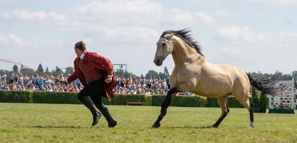 Contact 2 — Atkinson Action Horses