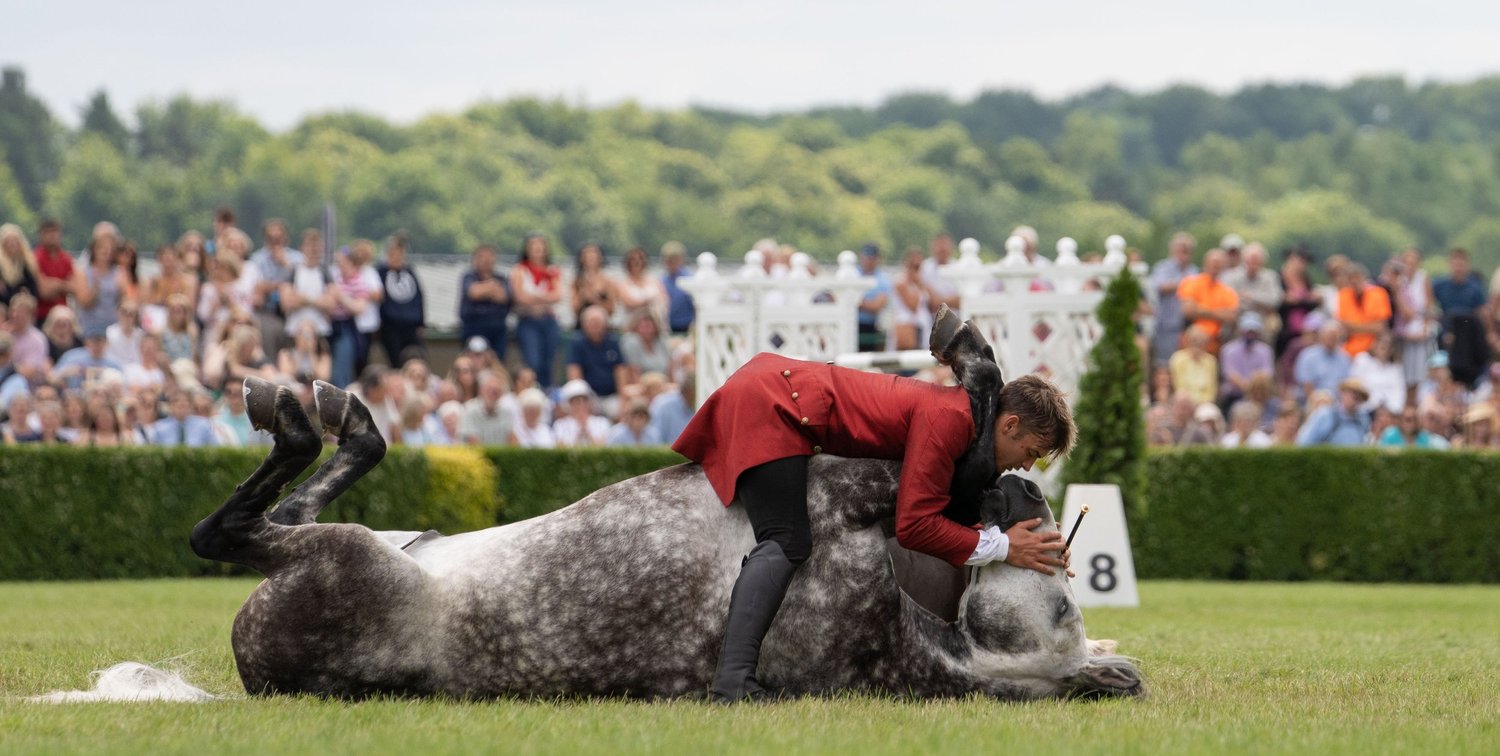 Atkinson Action Horses