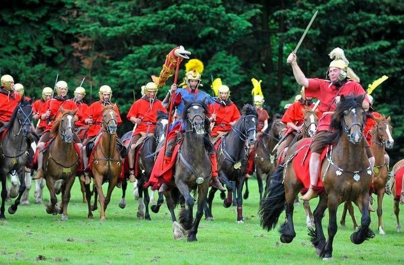 Film & TV — Atkinson Action Horses