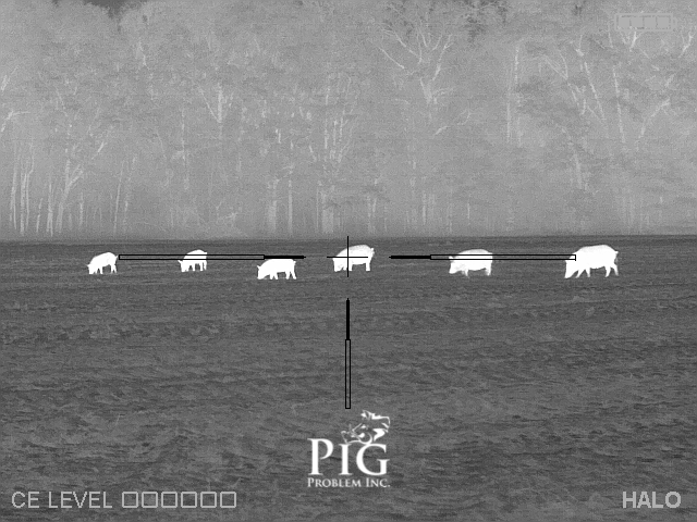 Night Hog Hunting in Georgia | Georgia Pig Hunting