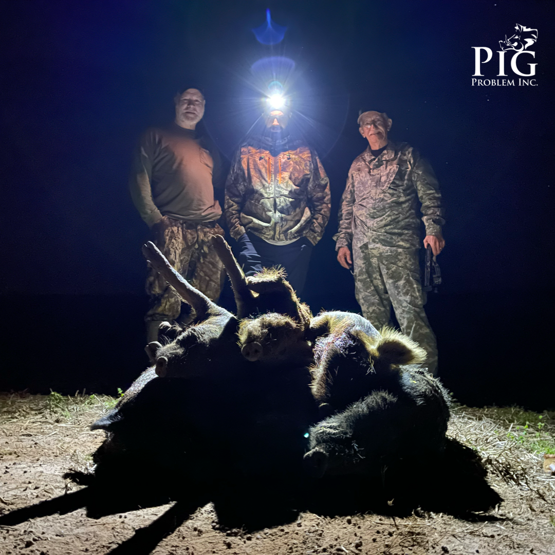 Best Hog Hunting In The States — Pig Problem Inc. Georgia - Hog Hunts ...