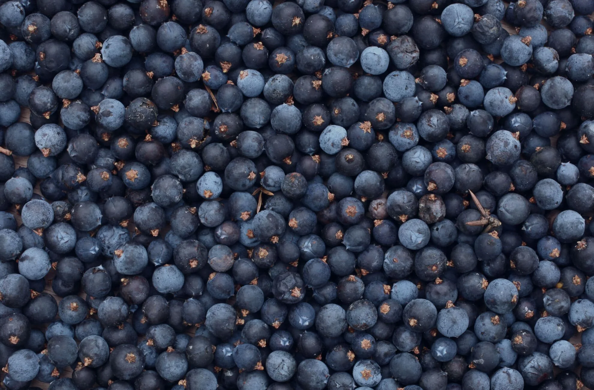 Contact — Jin Jiji | India Dry Gin