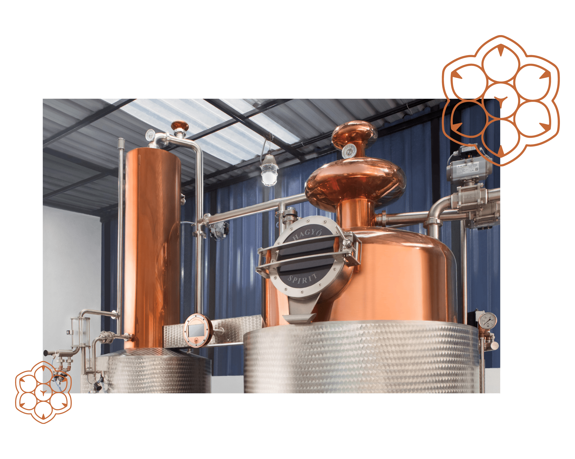 Jin Jiji | India Dry Gin