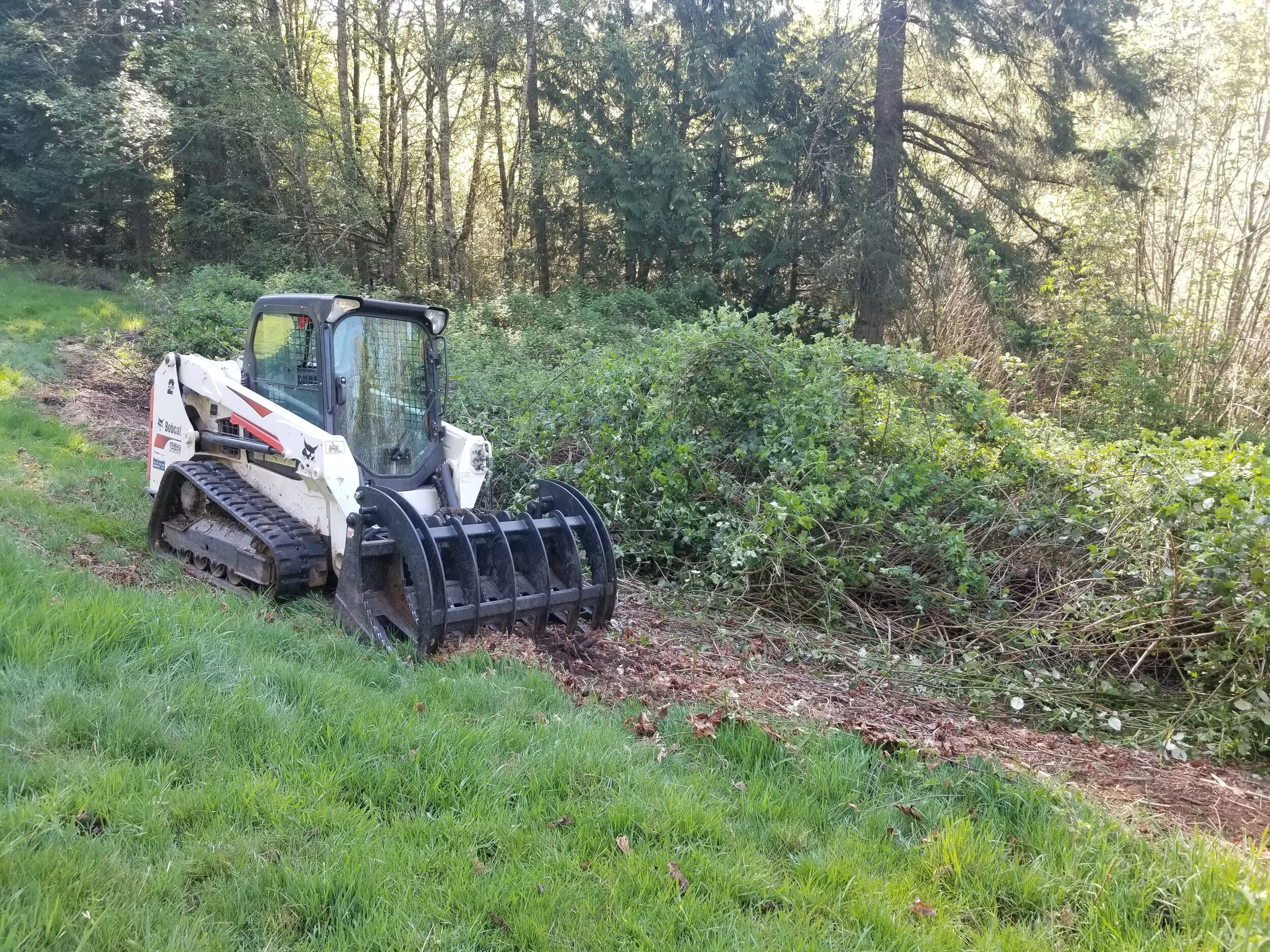 Land Clearing — Valley Environmental: carbon capture, manure removal ...