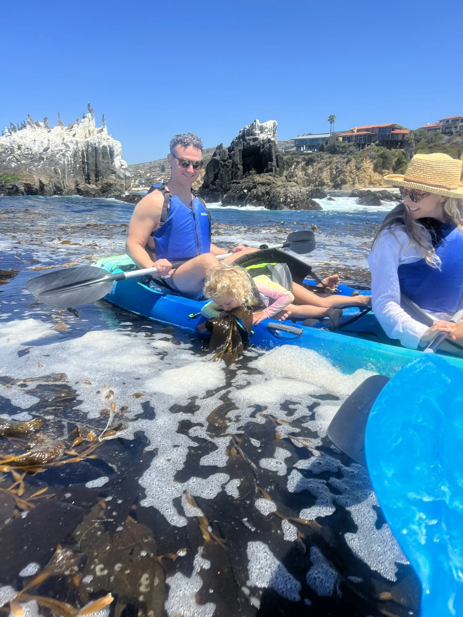 Kayak Tours | Open Ocean Kayaking | Laguna Ethos