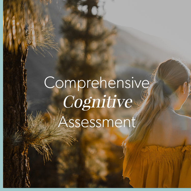 Educational and Diagnostic Assessments — Berry Collective psychology