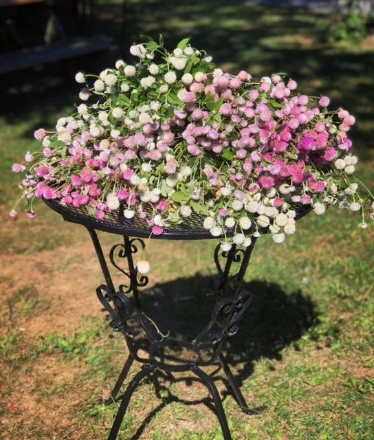 Delaware flower farm